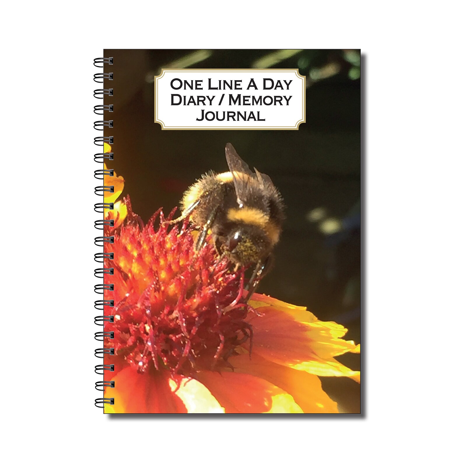 One Line a Day Diary Memory Journal 1 Year Week to View | Etsy UK