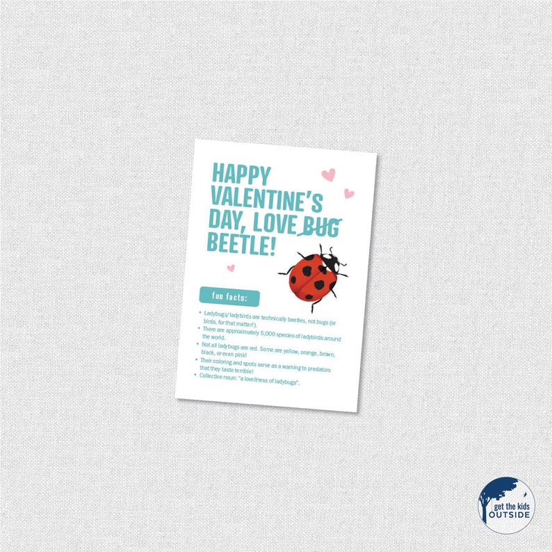 Printable INSECT Valentine's Day Cards (bundle 2) . Kids Valentines ...