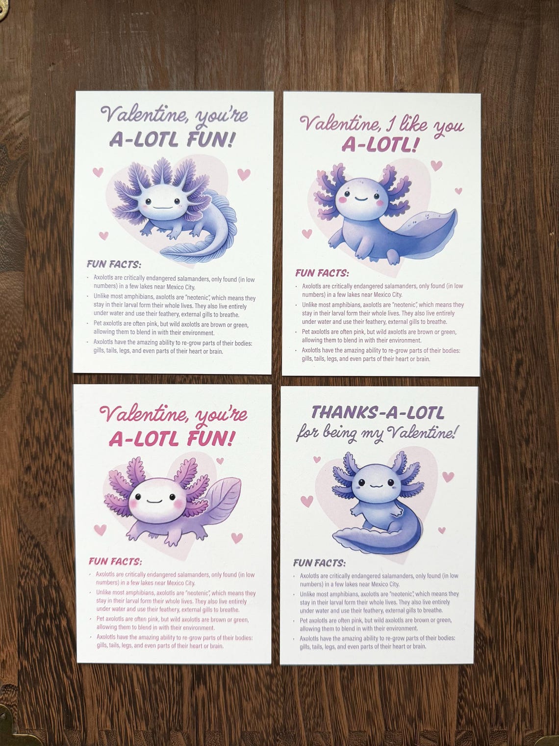 Printed AXOLOTL Valentine's Day Cards - (set of 12) - Animal Fun Facts ...