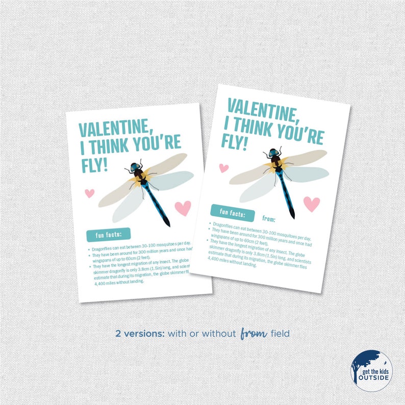 Printable INSECT Valentine's Day Cards (bundle 2) . Kids Valentines ...