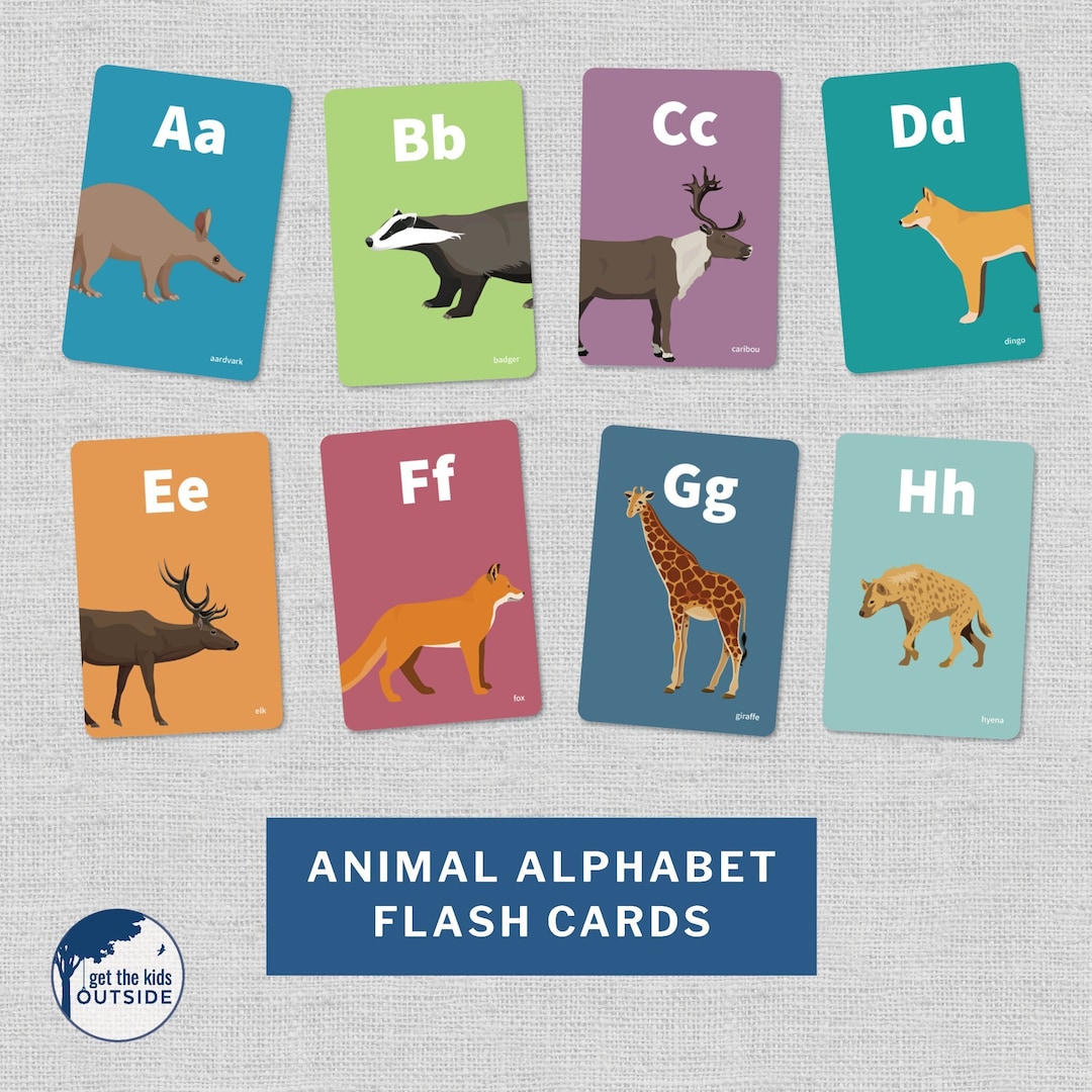 Animal Alphabet Flashcards - Mammals From Around the World - Abcs ...