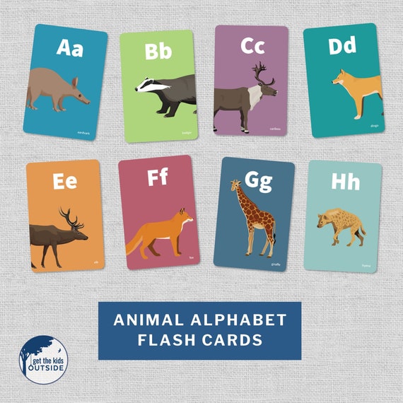 Animal Alphabet Flashcards Mammals From Around the World - Etsy