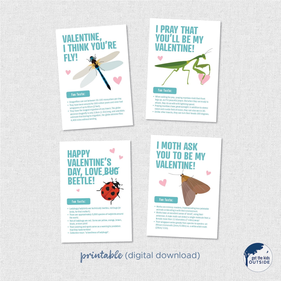 Printable INSECT Valentine's Day Cards (bundle 2) . Kids Valentines ...