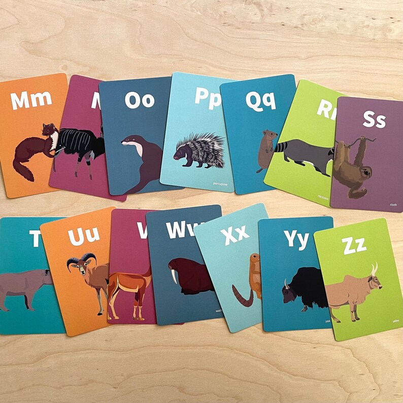 Animal Alphabet Flashcards - Mammals From Around the World - Abcs ...