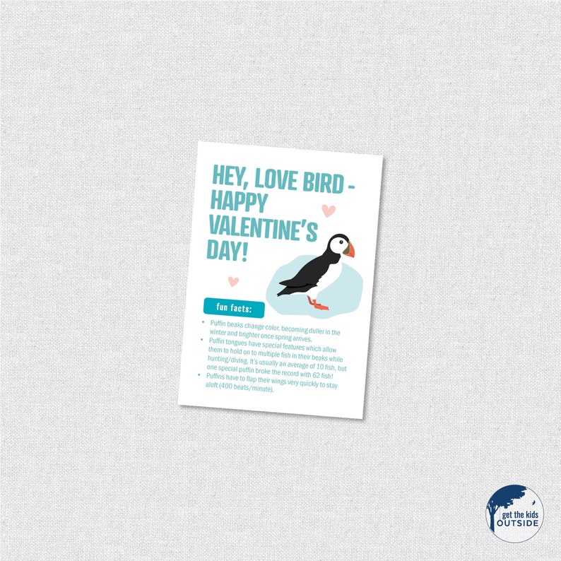 Printed ARCTIC ANIMALS Valentine's Day Cards . Kids Valentines . Fun ...