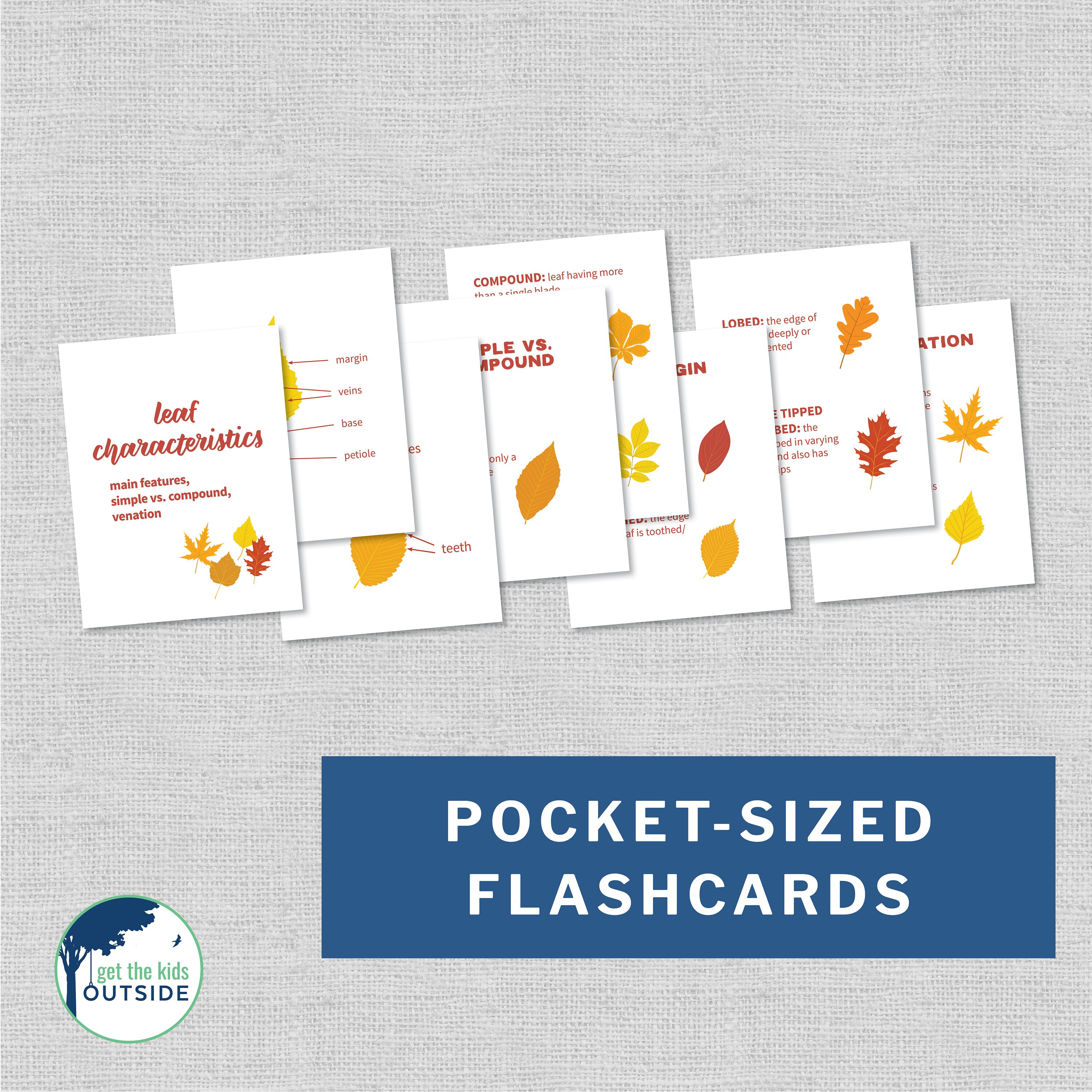 Autumn Leaf Identification Cards - Fall Foliage - ID Cards ...