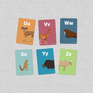 Animal Alphabet Flashcards - Mammals From Around the World - Abcs ...