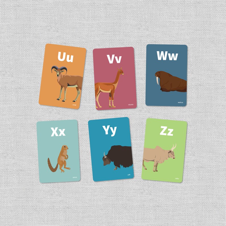 Animal Alphabet Flashcards - Mammals From Around the World - Abcs ...