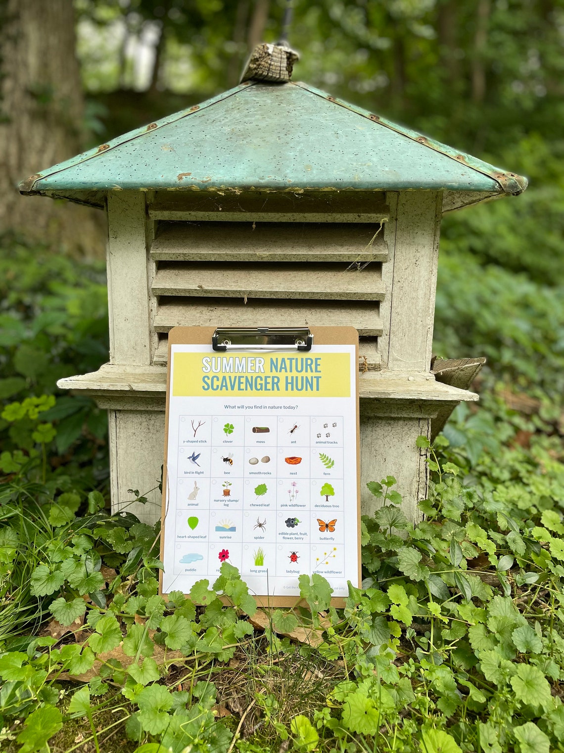 SUMMER Nature SCAVENGER HUNT - Summer Outdoor Activity - Nature Walk ...
