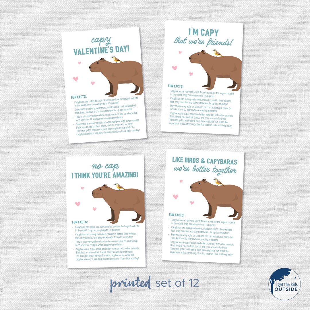 Capybara Valentine's Day Cards - Fun Fact Valentines, Set of 12 - Etsy