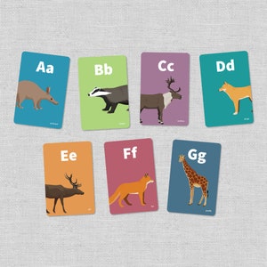 Animal Alphabet Flashcards - Mammals From Around the World - Abcs ...