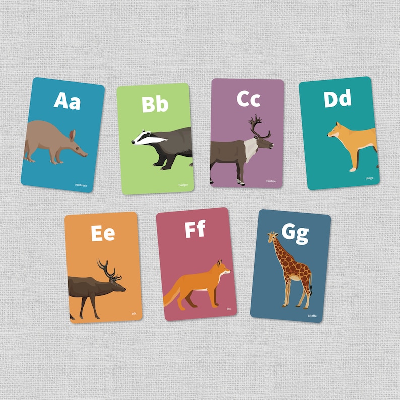 Animal Alphabet Flashcards - Mammals From Around the World - Abcs ...