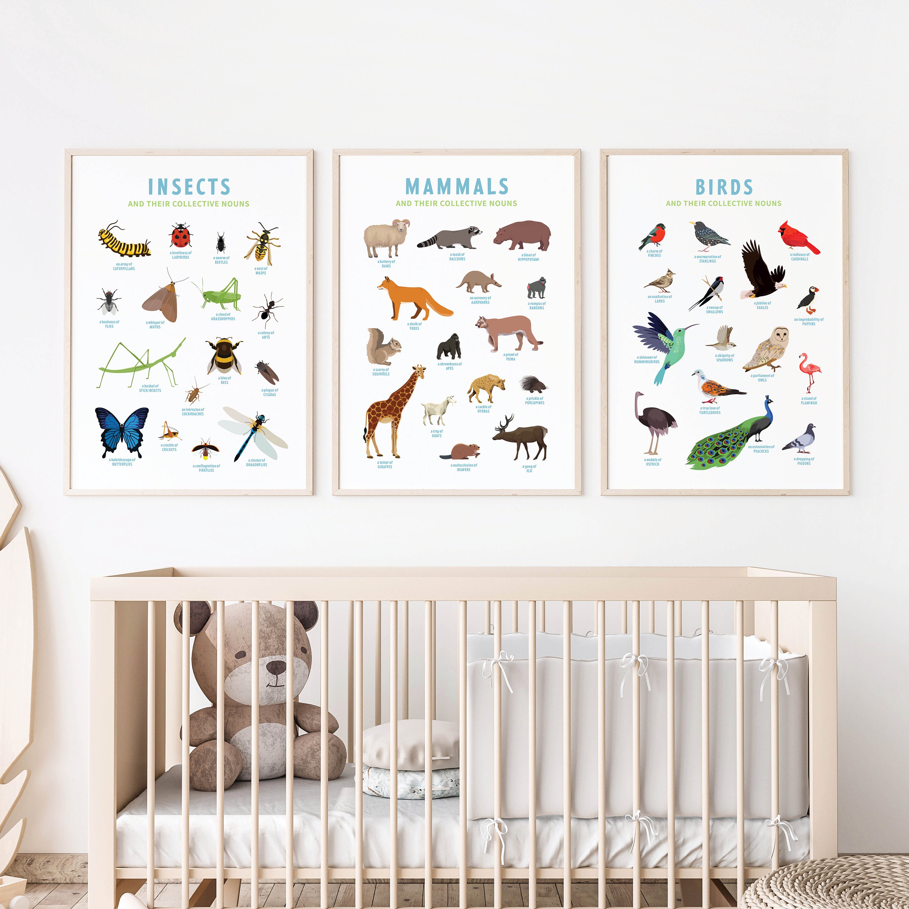 Bird Poster Collective Nouns Wall Art, Nature Art, Nursery Art, Animal ...