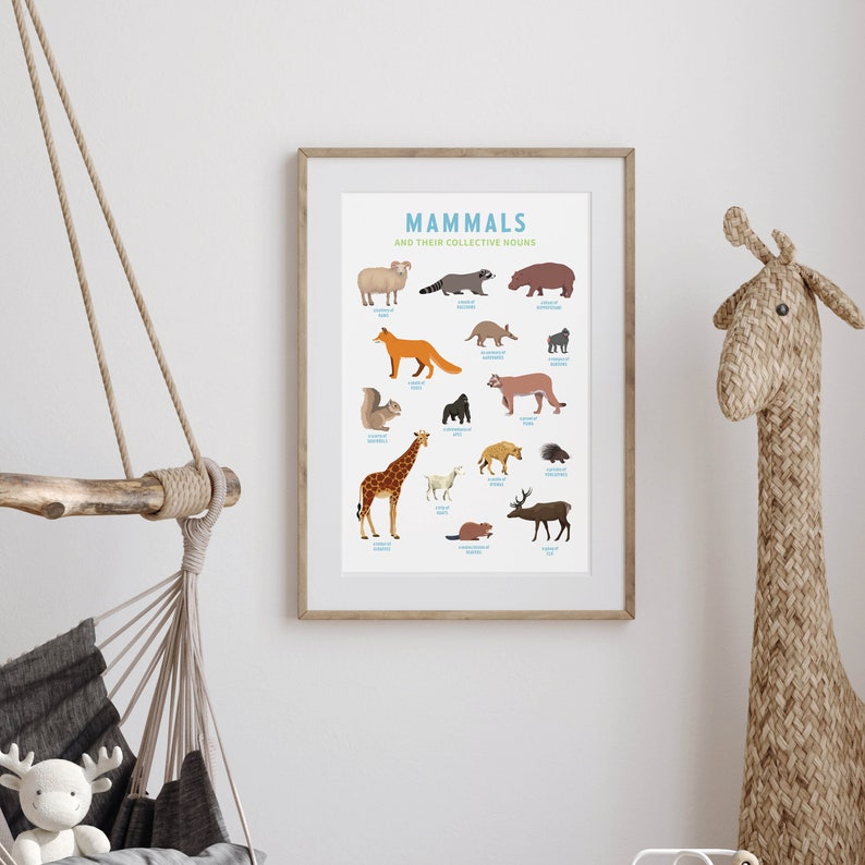 Mammals Poster - Collective Nouns; Wall Art, Nature Art, Nursery Art ...