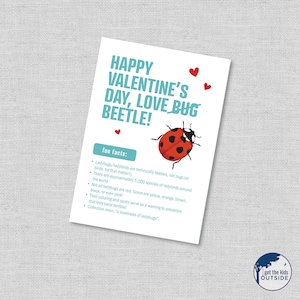 Printable INSECT Valentine's Day Cards bundle 2 . Kids - Etsy