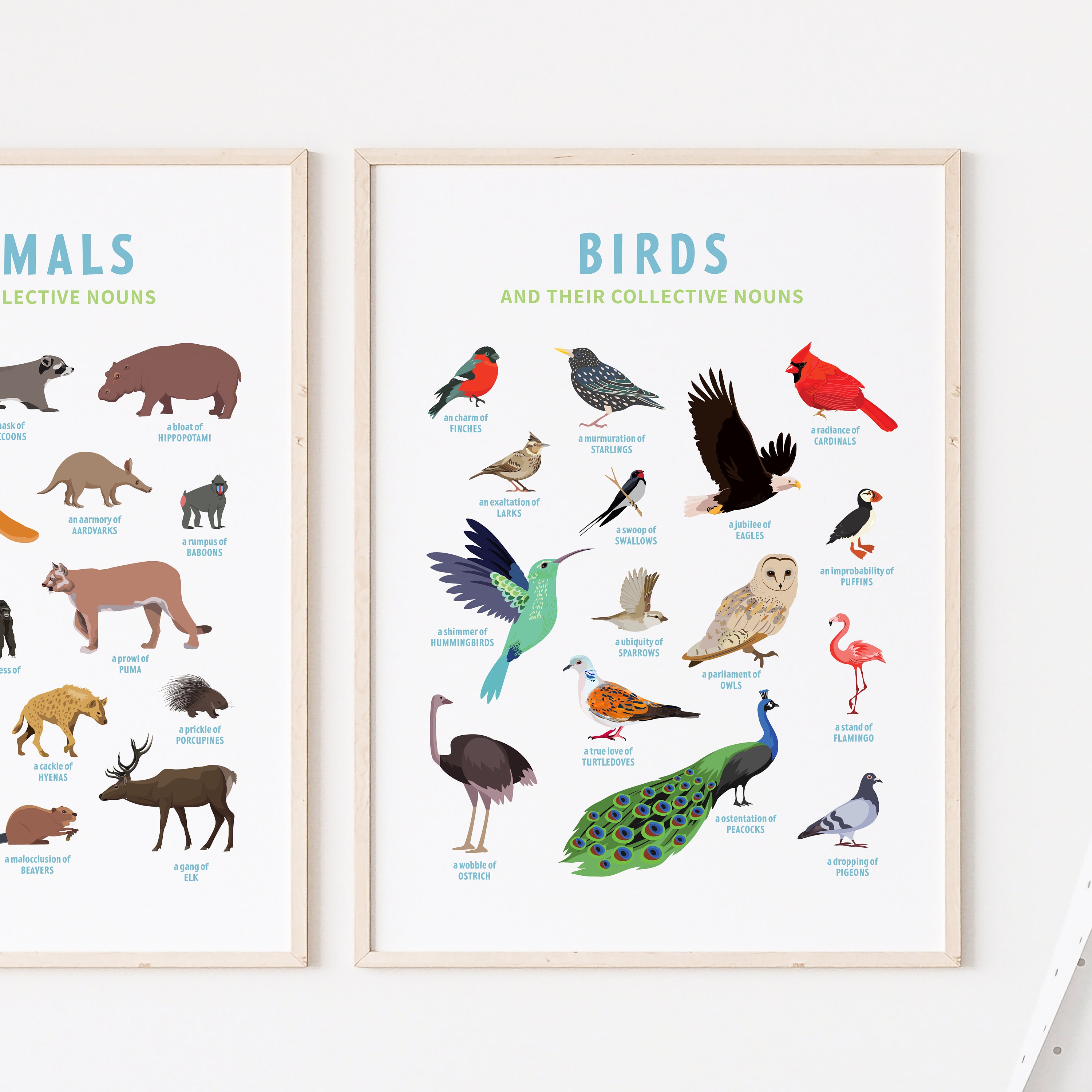 Bird Poster - Collective Nouns; Wall Art, Nature Art, Nursery Art ...