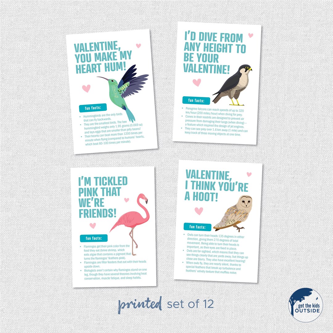 Printed BIRD FACTS Valentine's Day Cards . Kids Valentines . Fun Facts ...