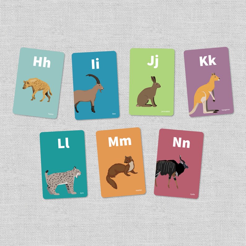 Animal Alphabet Flashcards - Mammals From Around the World - Abcs ...