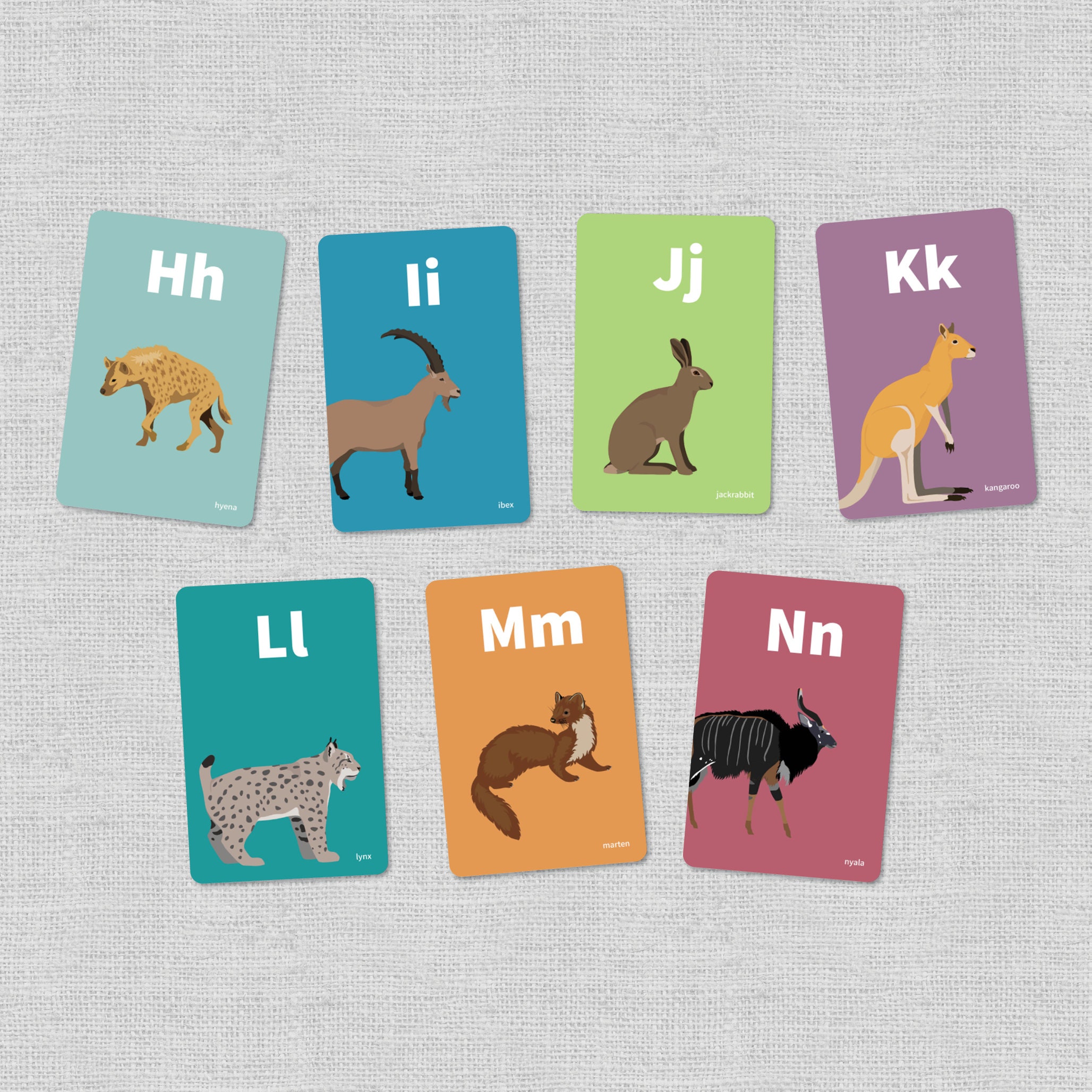 Animal Alphabet Flashcards Mammals From Around the World Abcs Animal ...