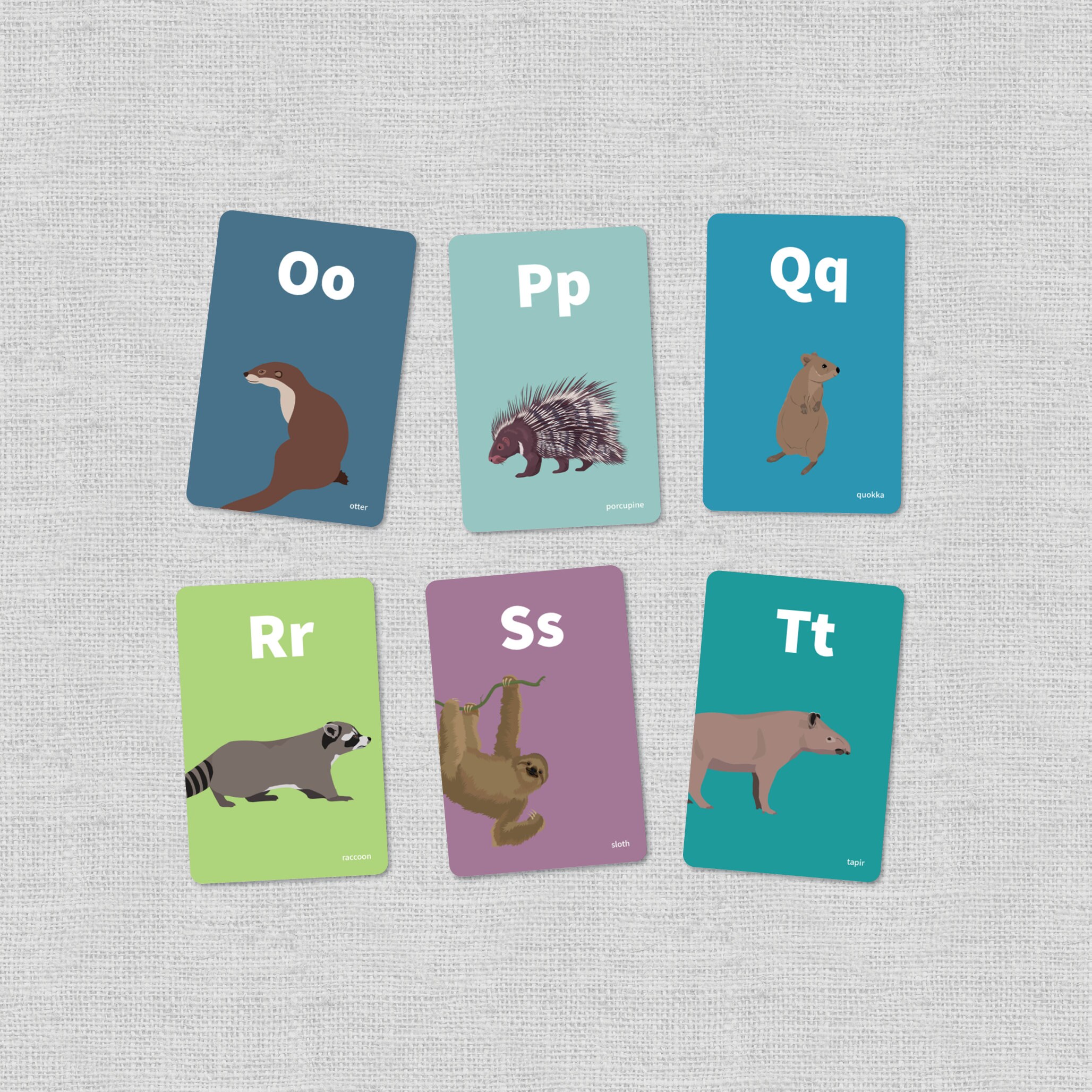 Animal Alphabet Flashcards Mammals From Around the World Abcs Animal ...