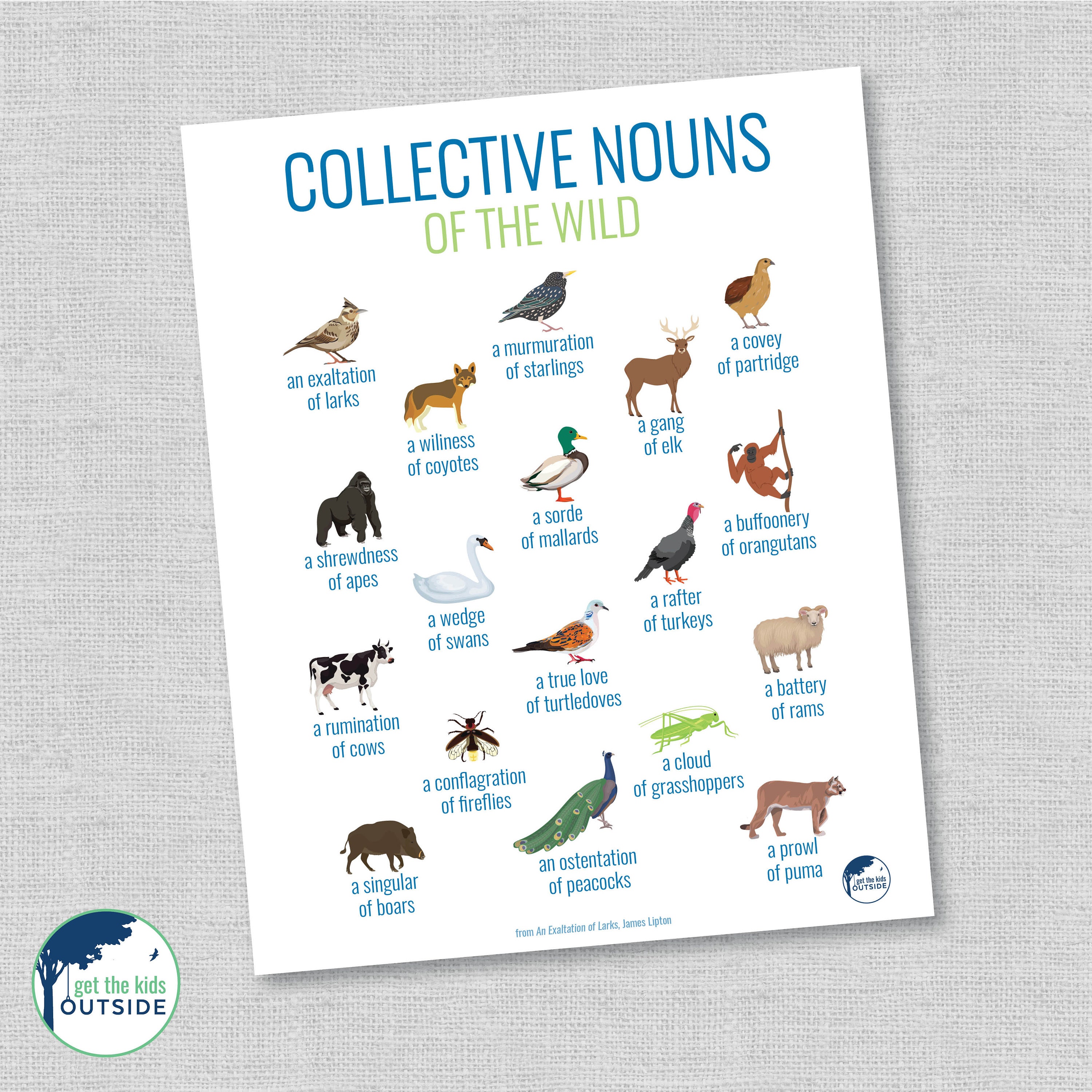 Collective Nouns Poster