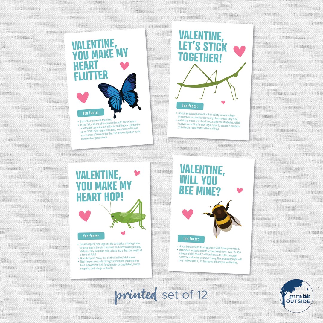 Printed INSECT Valentine's Day Cards (collection 1) . SET OF 12 . Kids ...