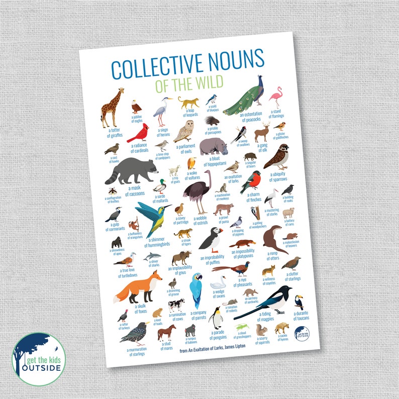 Collective Nouns - Animals & Birds - Wall Art - Nature Art - Nursery Art - Animal Poster ...