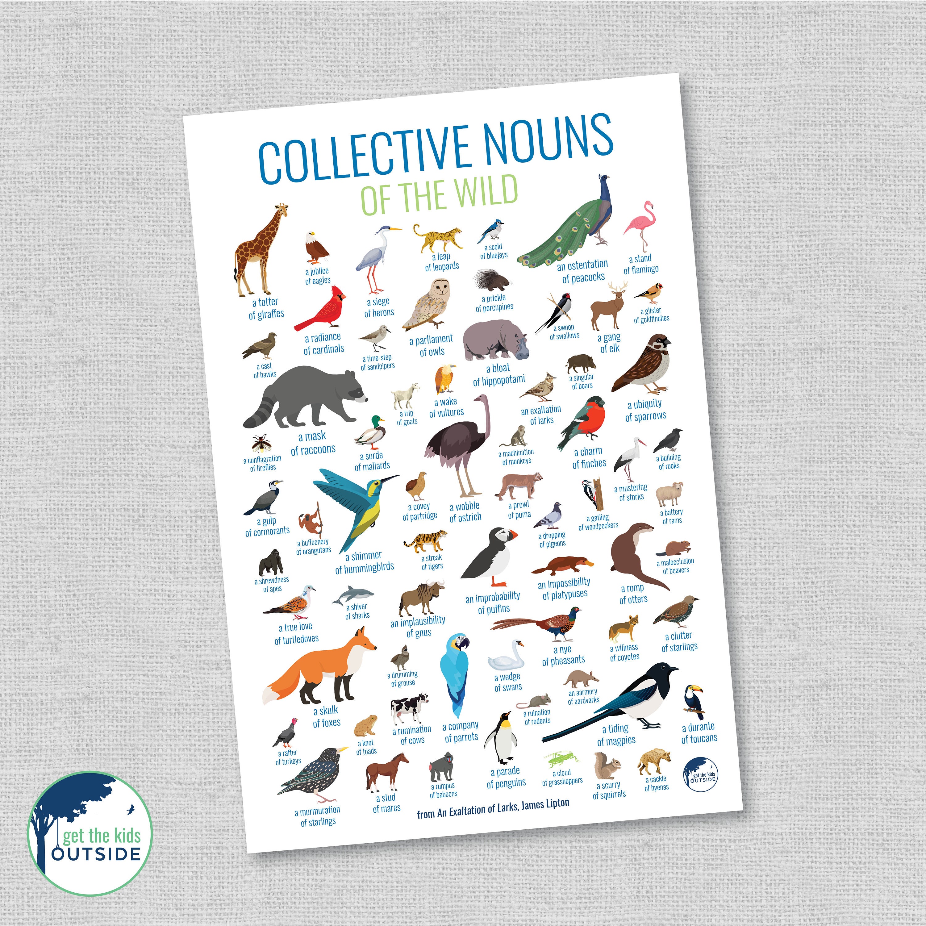 Collective Nouns - Animals & Birds - Wall Art - Nature Art - Nursery ...