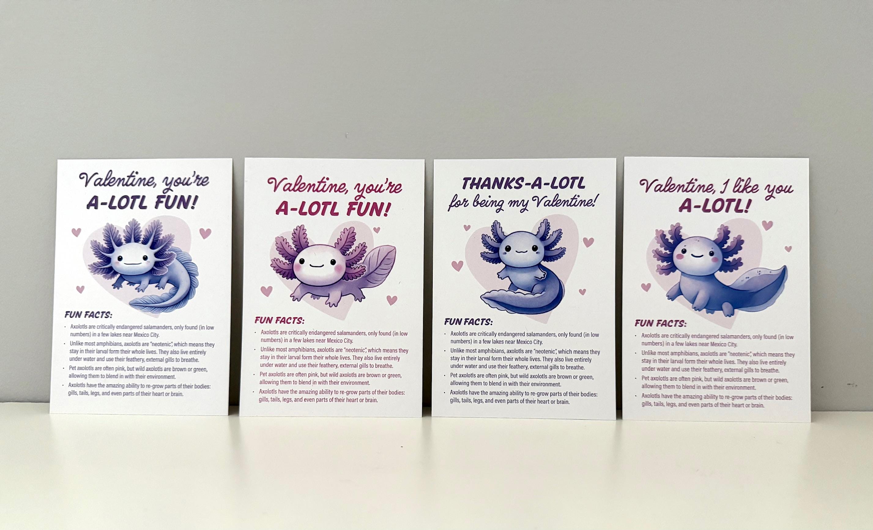 Axolotl Valentine's Day Cards – Fun Facts, Kids Classroom (digital ...