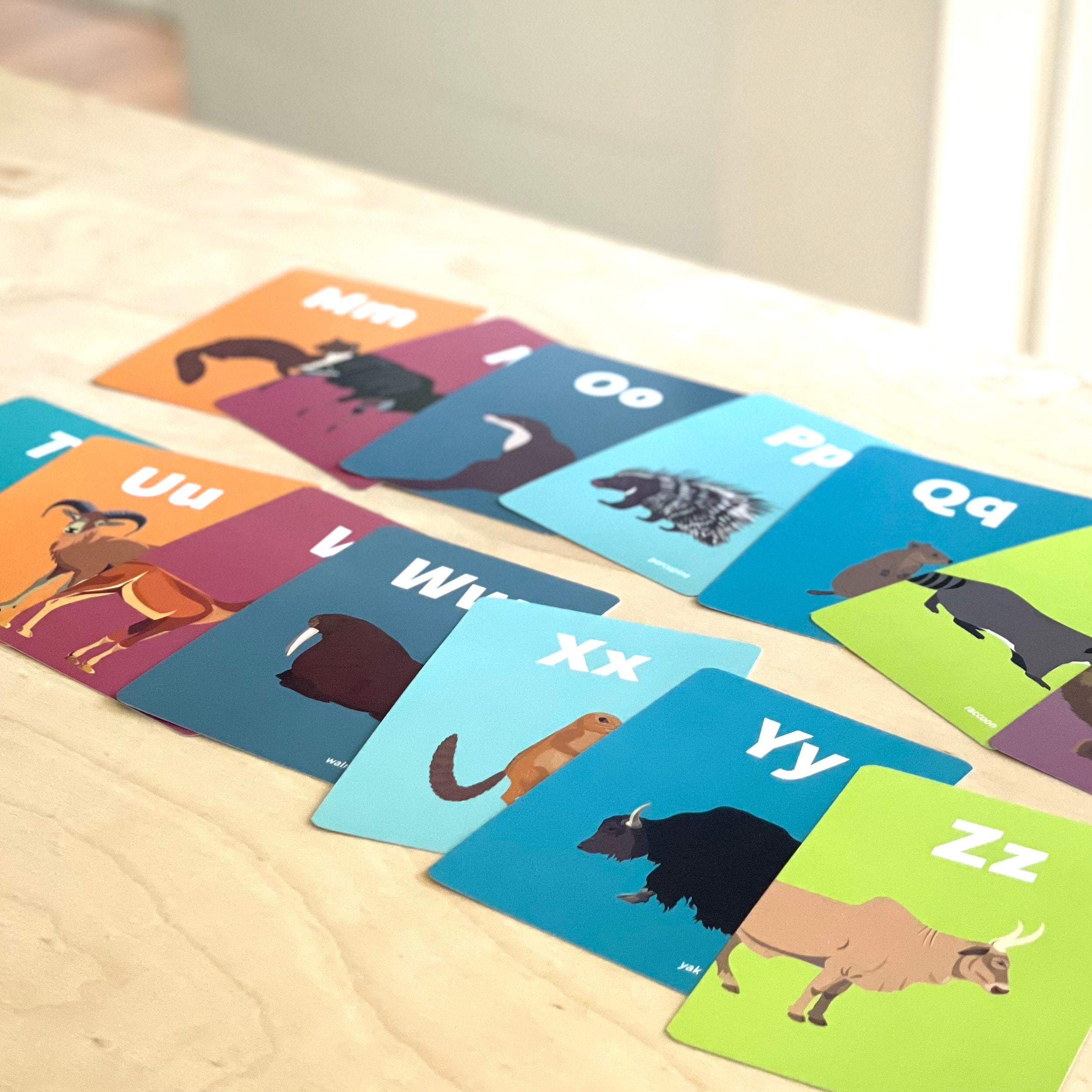 Animal Alphabet Flashcards Mammals From Around the World Abcs Animal ...