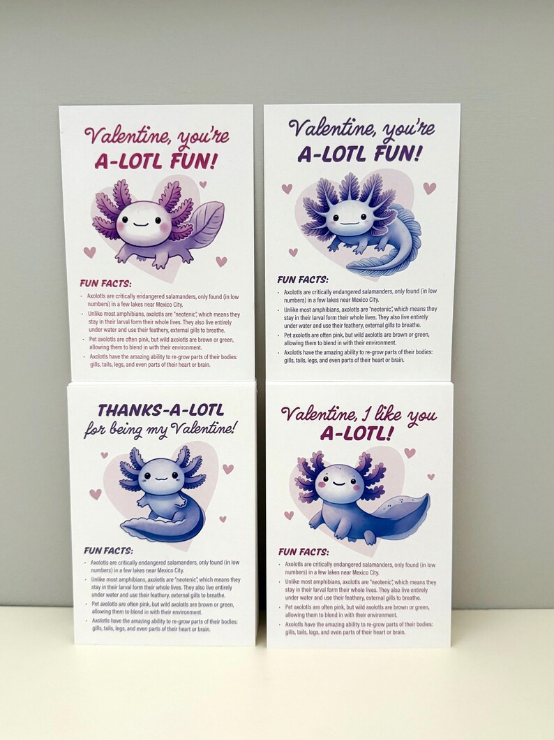 Printed AXOLOTL Valentine's Day Cards - (set of 12) - Animal Fun Facts ...