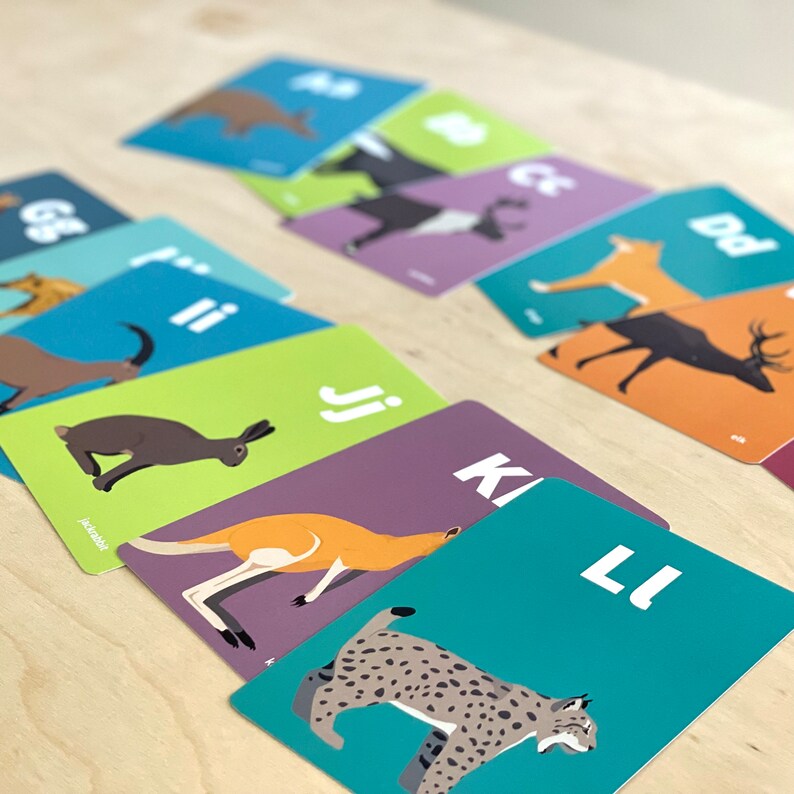 Animal Alphabet Flashcards - Mammals From Around the World - Abcs ...