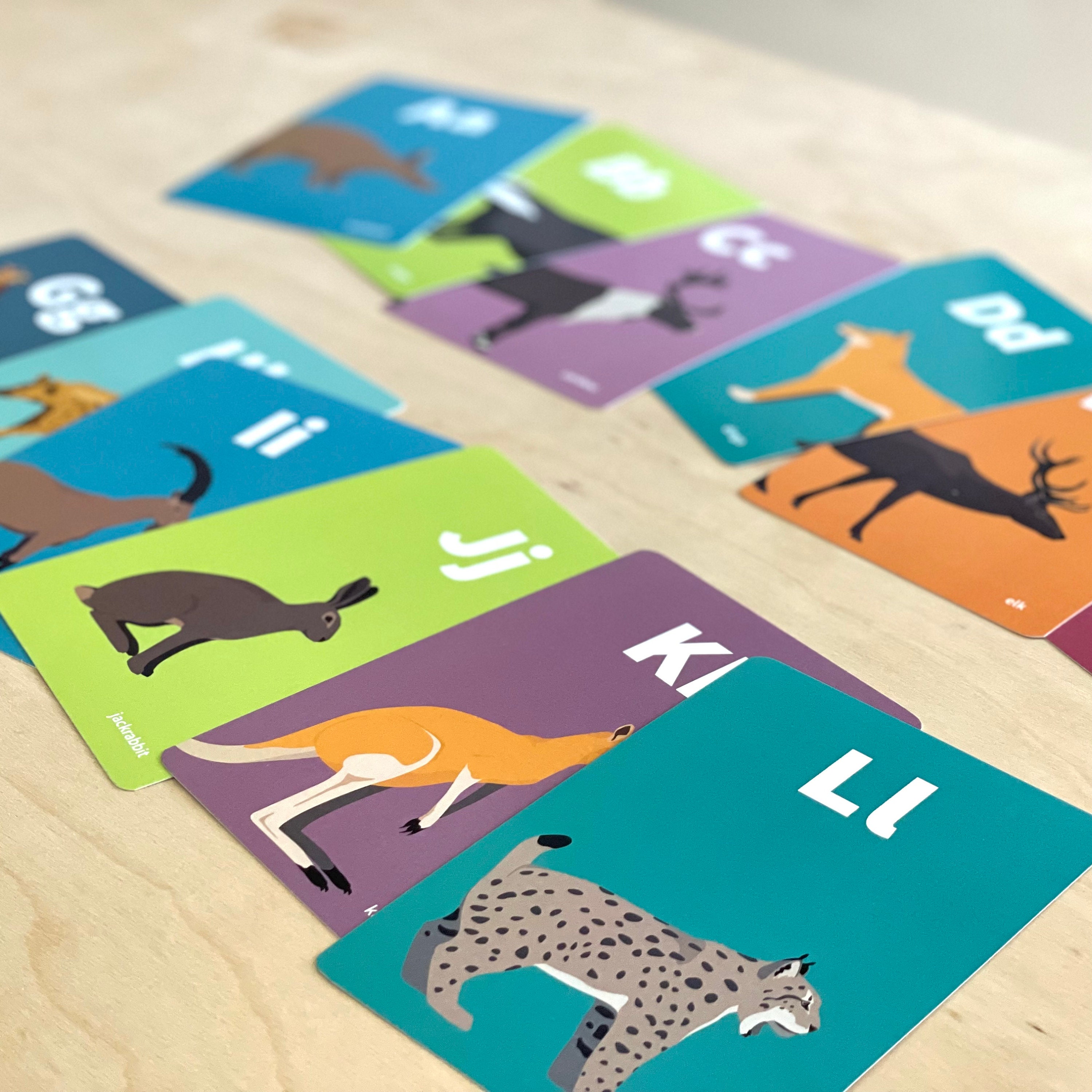 Animal Alphabet Flashcards Mammals From Around the World Abcs Animal ...