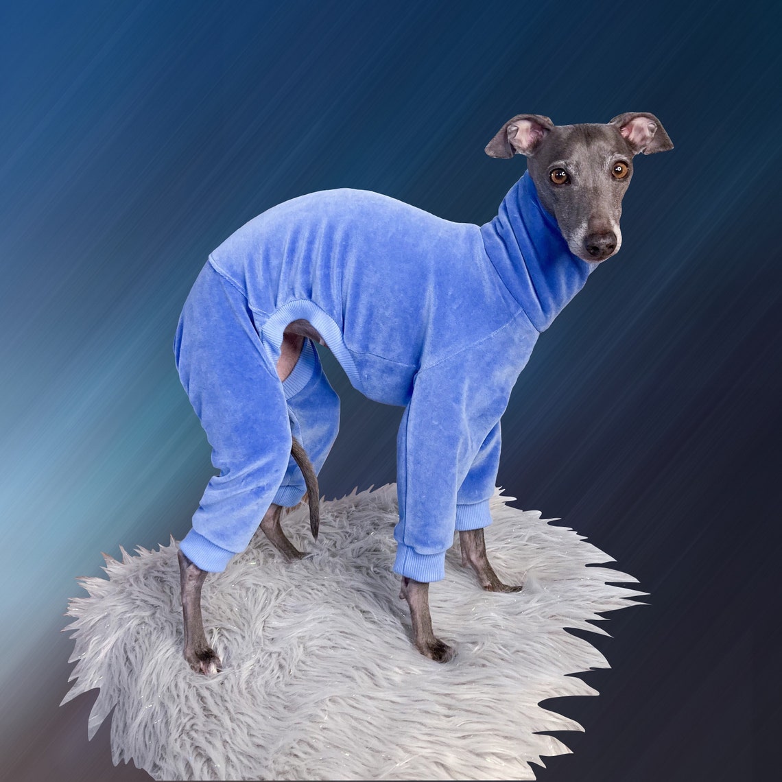CUSTOM Italian Greyhound / Manchester Terrier VELVET Pajamas / | Etsy