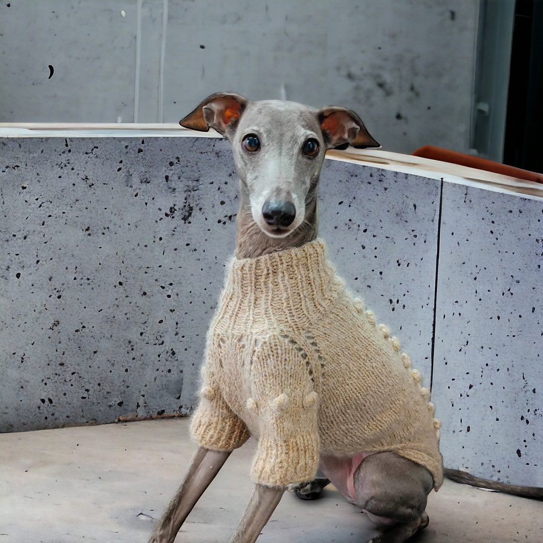Italian Greyhound HAND KNITTED SWEATER - Etsy