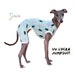 CUSTOM Italian Greyhound BEACHSUIT / Romper / Jumpsuit / Swumsuit - Etsy