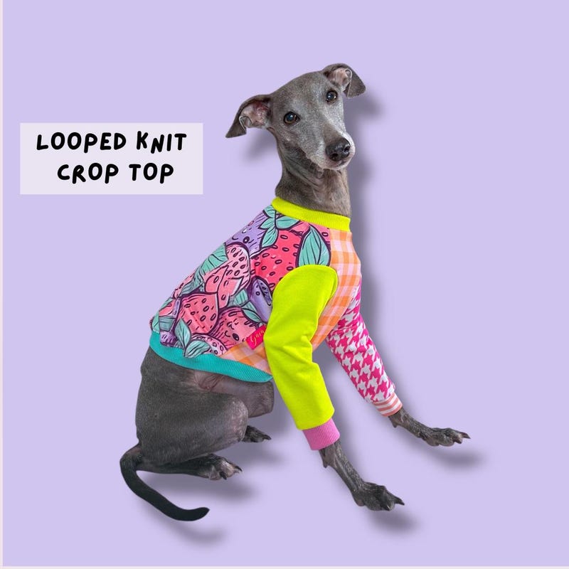 GaiaForGreyhounds - Etsy