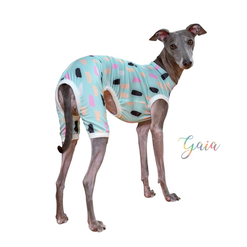CUSTOM Italian Greyhound BEACHSUIT / Romper / Jumpsuit / Swumsuit - Etsy