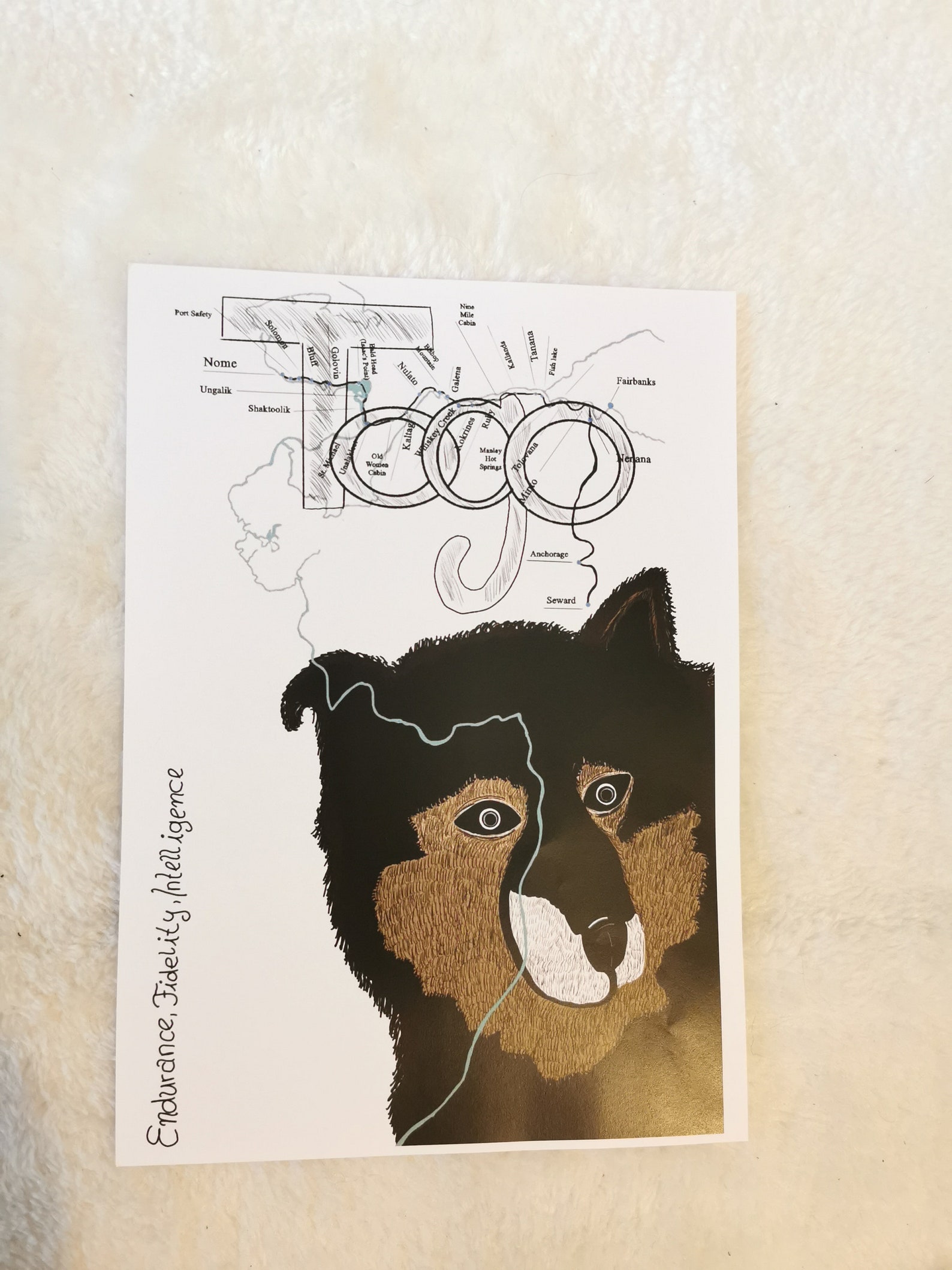 Togo Serum Run 1925 Heroic Animal - Etsy