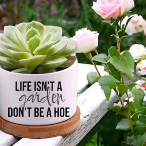 Funny Succulent Planter With Saying | Funny Plant Pot With Quote | Cute ...