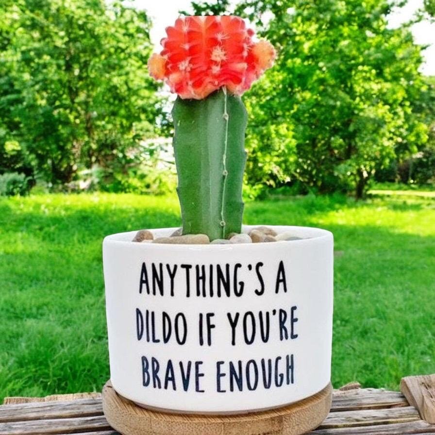 Funny Succulent Planter With Saying | Funny Plant Pot With Quote | Cute ...