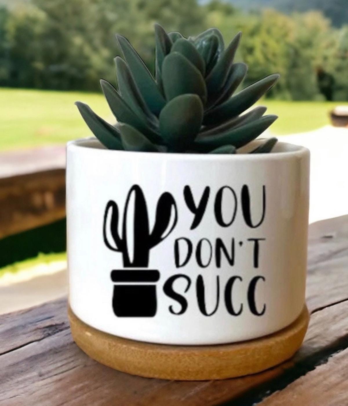 Funny Succulent Planter With Saying | Funny Plant Pot With Quote | Cute ...