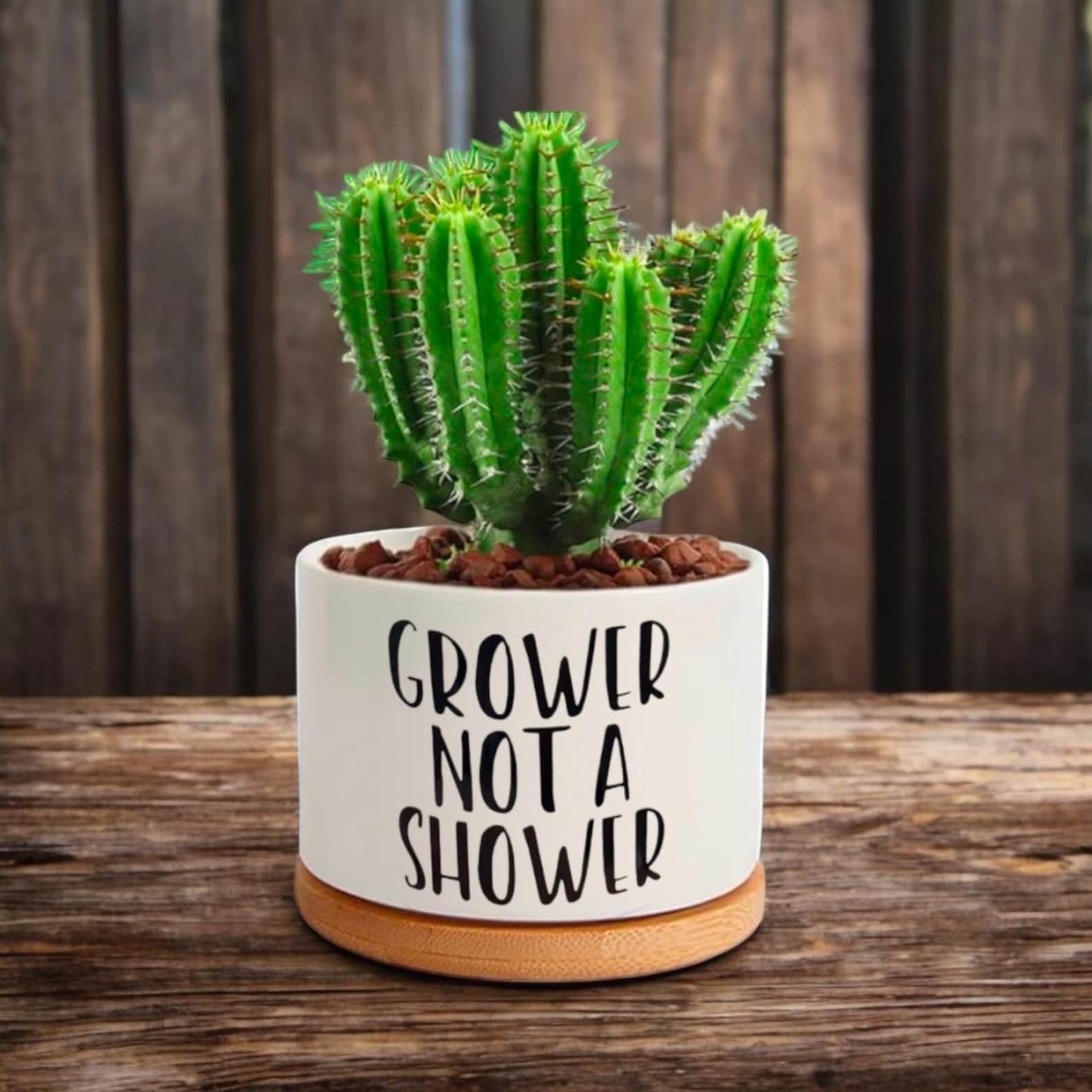 Funny Succulent Planter With Saying | Funny Plant Pot With Quote | Cute ...