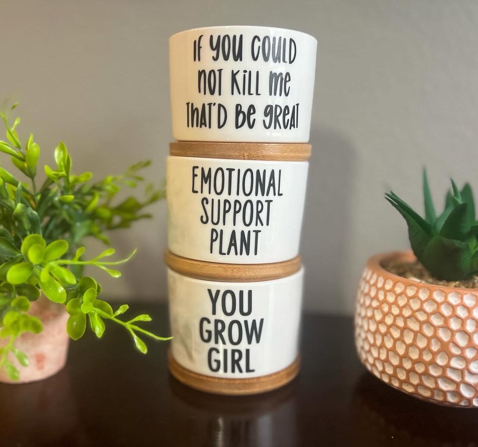 Sassy Succulent Planter Pot | Quirky Plant Pot With Humorous Quotes ...