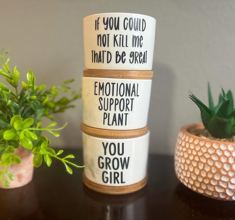 Sassy Succulent Planter Pot | Quirky Plant Pot With Humorous Quotes ...
