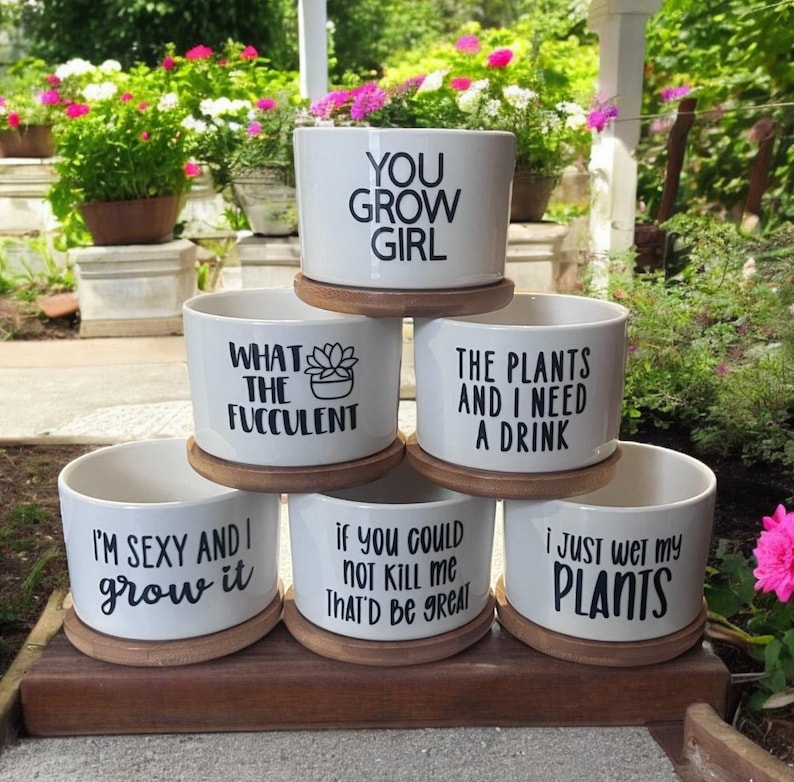 Funny Succulent Planter With Saying | Funny Plant Pot With Quote | Cute ...