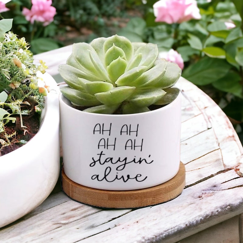 Funny Planters - Etsy