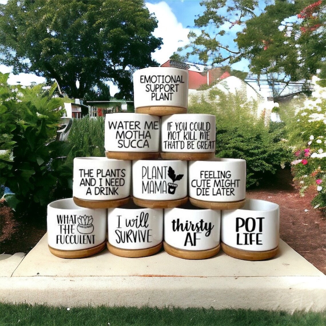 Funny Planter Pot, Herb Garden Planter, Plant Puns, Terracotta Pot ...