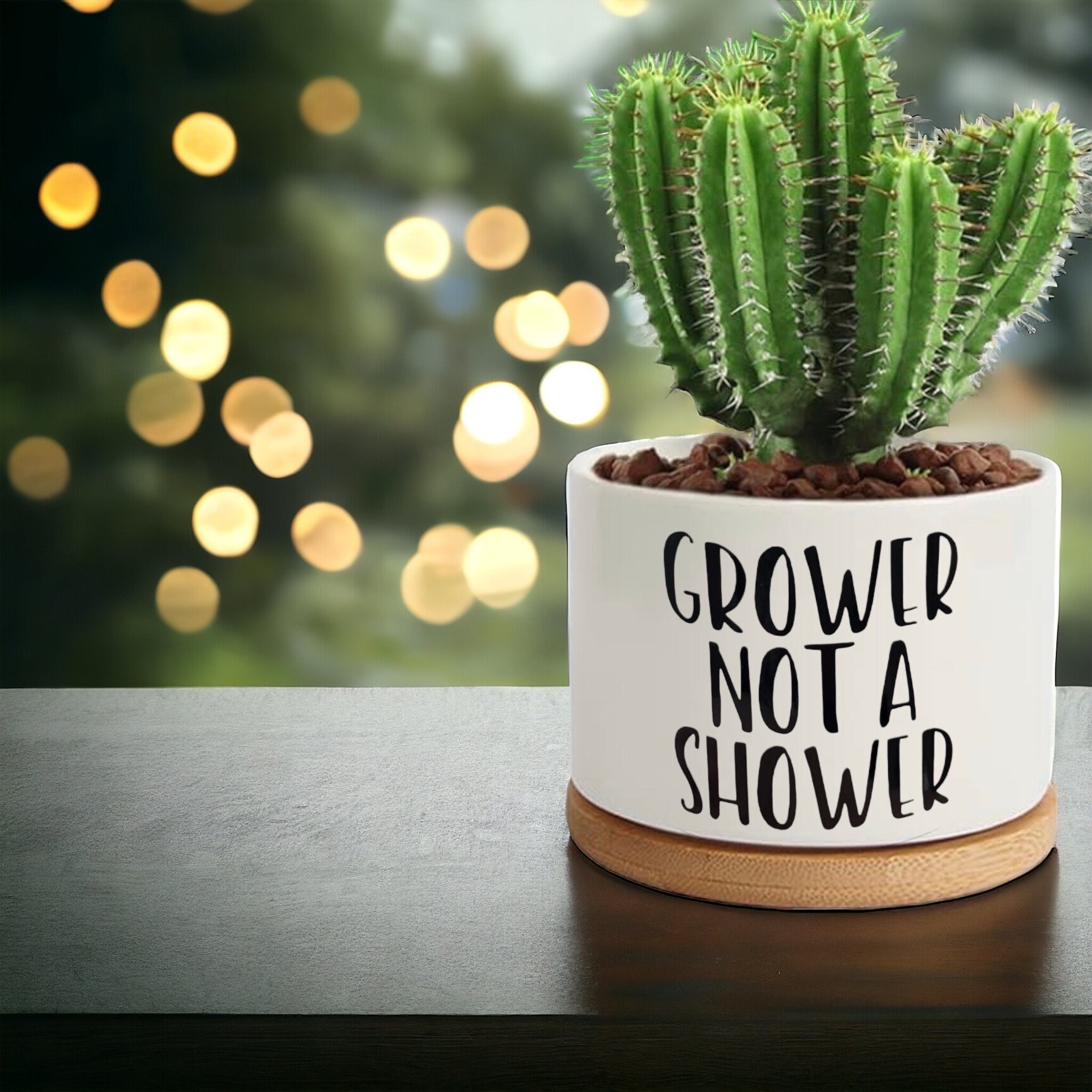 Funny Planter Pot, Herb Garden Planter, Plant Puns, Terracotta Pot ...