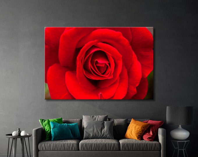 Red Rose Wall Decor Red Rose Canvas Print Red Rose Close up - Etsy